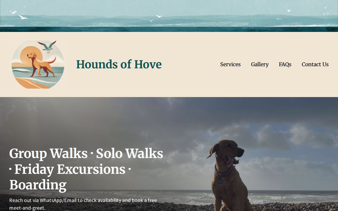 Hounds of Hove | Trusted Dog Walking & Pet Sitting in Brighton & Hove